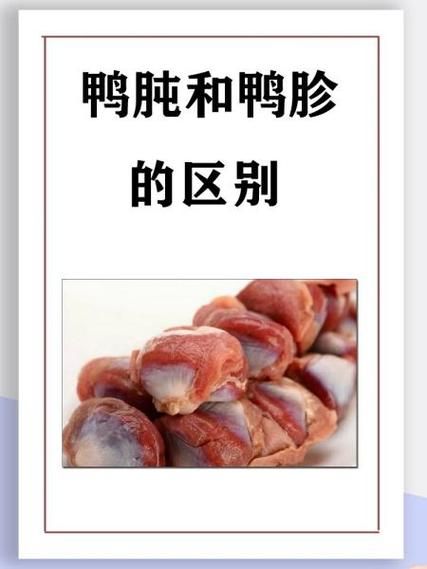 鸭胗和鸭肫的区别_鸭胗是鸭肫吗-第1张图片-山城妙识