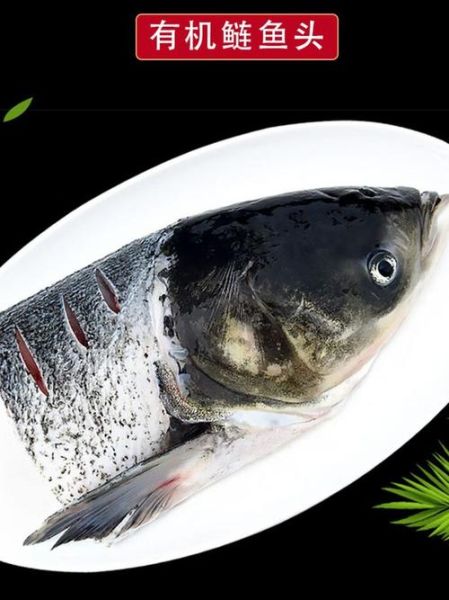 鲢鱼头有什么营养价值_鲢鱼头怎么做最补脑-第3张图片-山城妙识 鲢鱼头有什么营养价值_鲢鱼头怎么做最补脑-第3张图片-山城妙识