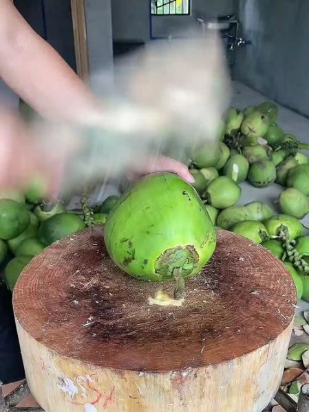 椰子怎么打开_椰子壳怎么开最简单-第3张图片-山城妙识 椰子怎么打开_椰子壳怎么开最简单-第3张图片-山城妙识