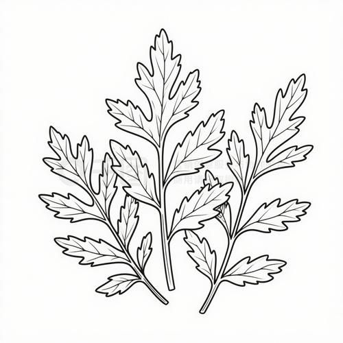 艾草简笔画怎么画_艾草简笔画步骤图-第3张图片-山城妙识 艾草简笔画怎么画_艾草简笔画步骤图-第3张图片-山城妙识