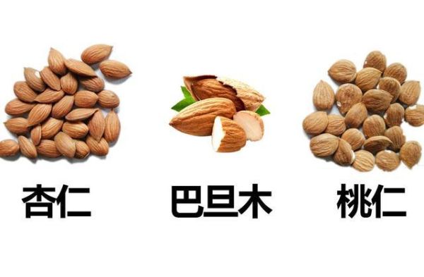 美国大杏仁是什么_和巴旦木区别-第1张图片-山城妙识 美国大杏仁是什么_和巴旦木区别-第1张图片-山城妙识