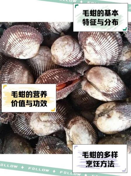 毛蚶煮多长时间可以吃_毛蚶煮多久才安全-第3张图片-山城妙识