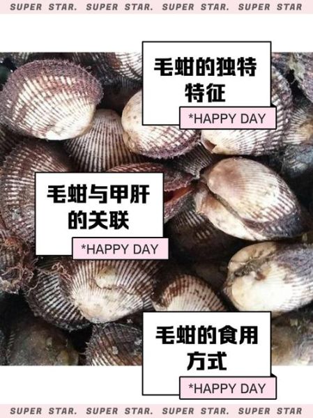毛蚶煮多长时间可以吃_毛蚶煮多久才安全-第2张图片-山城妙识