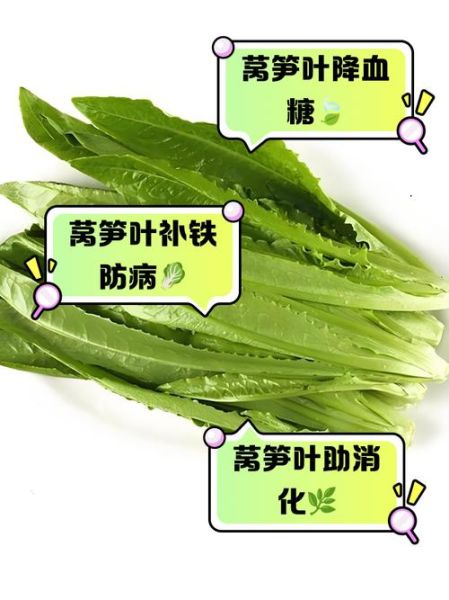 莴笋叶为什么不能吃_莴笋叶有毒吗-第1张图片-山城妙识