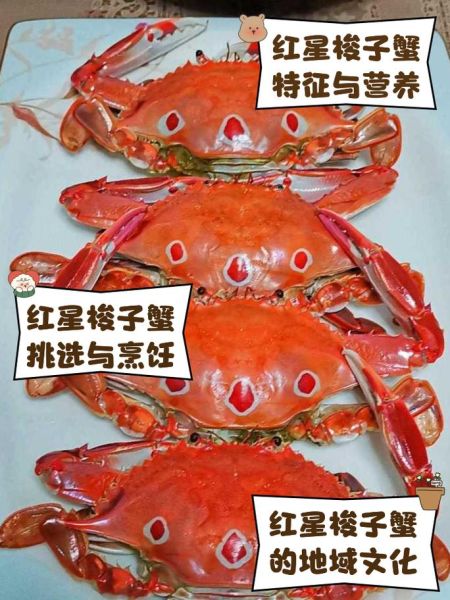 红星梭子蟹多少钱一斤_怎么挑选最新鲜-第1张图片-山城妙识