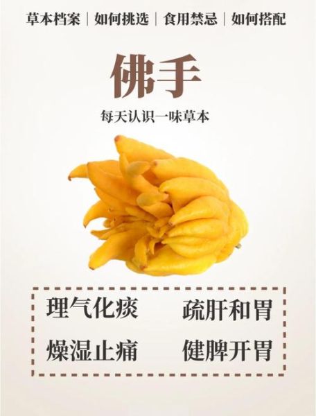 佛手有什么功效与作用_佛手主治哪些疾病-第1张图片-山城妙识