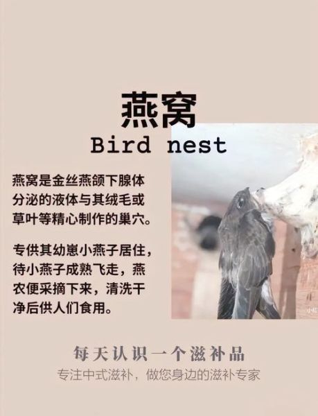 即食燕窝和鲜炖燕窝的区别_哪个更好-第3张图片-山城妙识