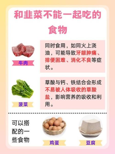 韭菜和什么食物相克_韭菜不能和什么一起吃-第2张图片-山城妙识 韭菜和什么食物相克_韭菜不能和什么一起吃-第2张图片-山城妙识