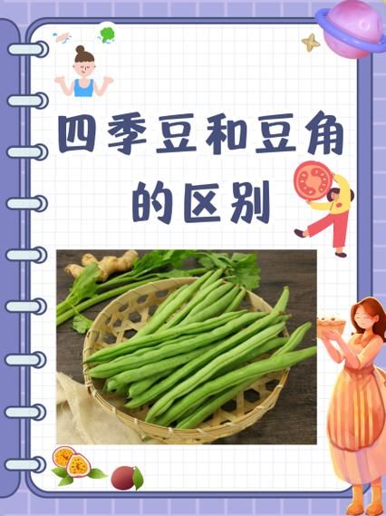 豇豆图片大全大图_豇豆和四季豆的区别-第1张图片-山城妙识 豇豆图片大全大图_豇豆和四季豆的区别-第1张图片-山城妙识