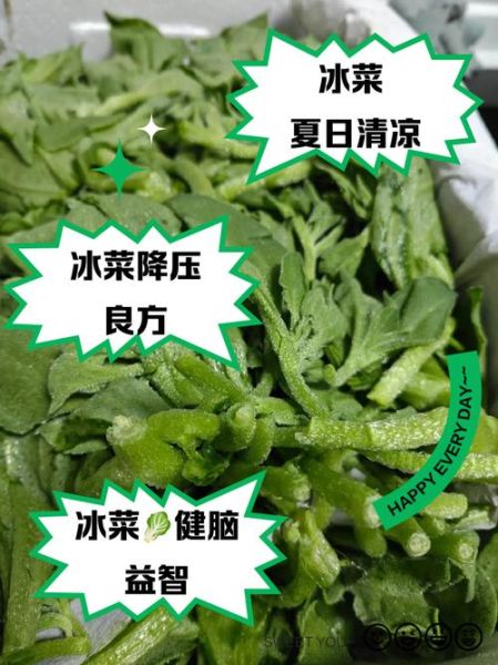 冰菜的功效与作用_冰菜怎么吃最好-第1张图片-山城妙识 冰菜的功效与作用_冰菜怎么吃最好-第1张图片-山城妙识