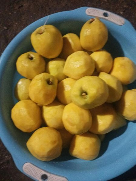 黄桃罐头怎么做才脆_家庭自制黄桃罐头窍门-第1张图片-山城妙识