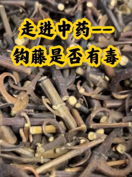 降血压最好的一味中药是什么_钩藤怎么用效果最好-第1张图片-山城妙识 降血压最好的一味中药是什么_钩藤怎么用效果最好-第1张图片-山城妙识