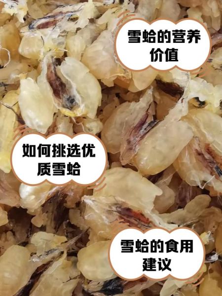 雪蛤不能和什么一起吃_雪蛤相克食物有哪些-第1张图片-山城妙识 雪蛤不能和什么一起吃_雪蛤相克食物有哪些-第1张图片-山城妙识