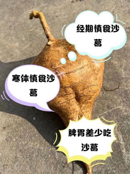 沙葛的功效与作用_沙葛的禁忌有哪些-第1张图片-山城妙识