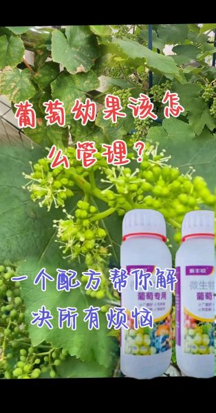 葡萄酒杀菌最佳方法_如何正确消毒葡萄酒瓶-第2张图片-山城妙识