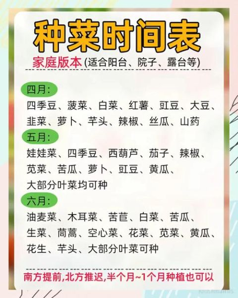 春季蔬菜什么时候种_秋季蔬菜种植时间表-第2张图片-山城妙识