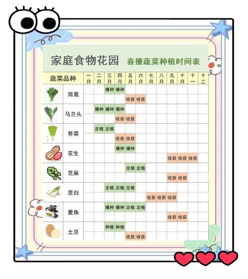 春季蔬菜什么时候种_秋季蔬菜种植时间表-第3张图片-山城妙识