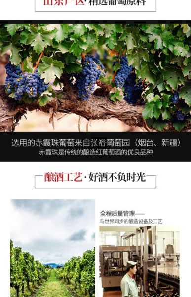 张裕葡萄酒价格表大全_张裕哪款性价比最高-第3张图片-山城妙识 张裕葡萄酒价格表大全_张裕哪款性价比最高-第3张图片-山城妙识