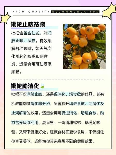 枇杷果的功效与禁忌_枇杷果哪些人不能吃-第1张图片-山城妙识