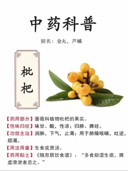 枇杷果的功效与禁忌_枇杷果哪些人不能吃-第2张图片-山城妙识
