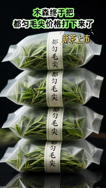 毛尖怎么泡才正确_毛尖泡多久口感最佳-第2张图片-山城妙识