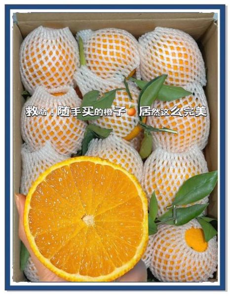 重庆有哪些特产水果_重庆水果几月份成熟-第2张图片-山城妙识