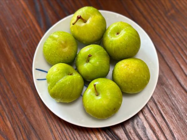 重庆有哪些特产水果_重庆水果几月份成熟-第1张图片-山城妙识