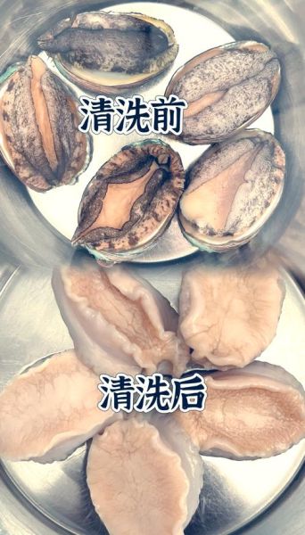 鲍鱼怎么清洗_鲍鱼蒸多久才熟-第1张图片-山城妙识