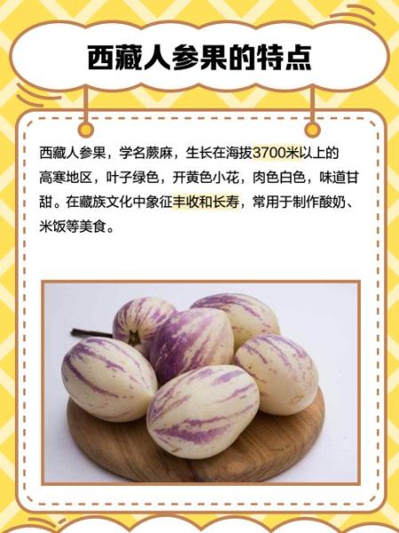 人参果的功效与作用有哪些_孕妇能吃吗-第3张图片-山城妙识