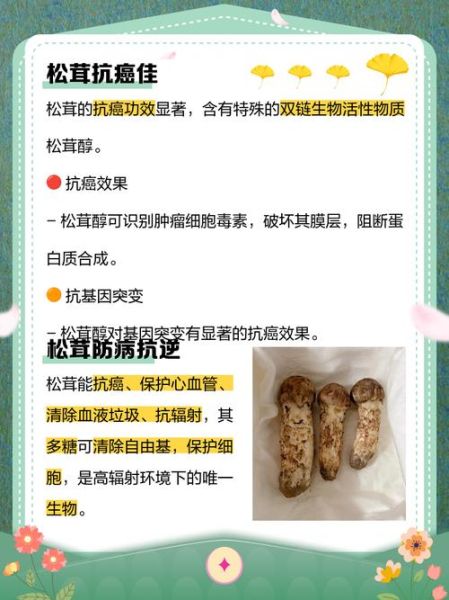 野生松茸的功效与作用_怎么吃最营养-第2张图片-山城妙识 野生松茸的功效与作用_怎么吃最营养-第2张图片-山城妙识