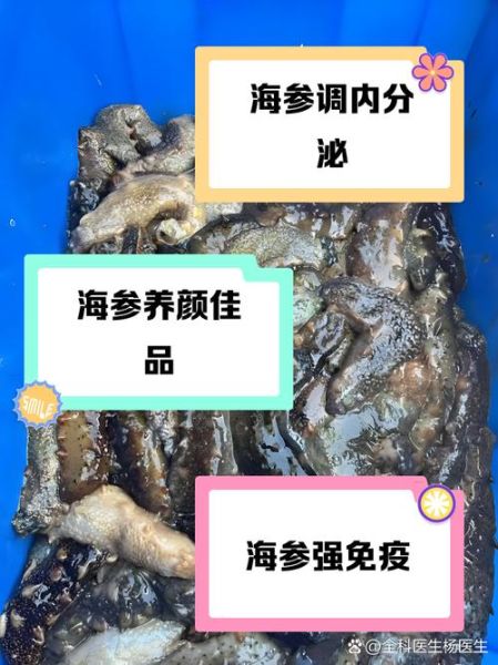 女人吃海参的最大好处_海参对女人有哪些功效-第2张图片-山城妙识