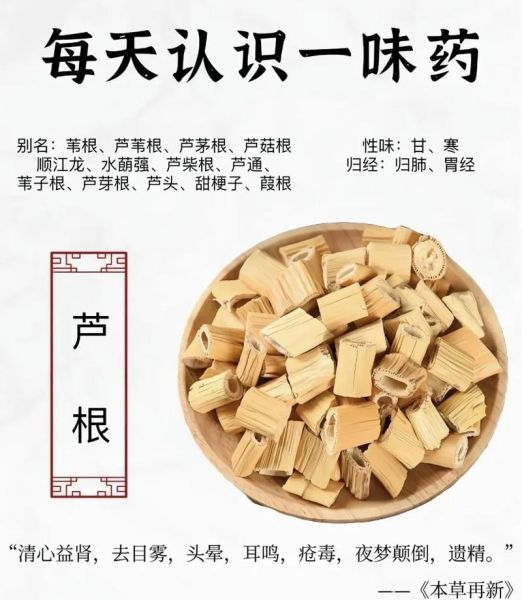 芦苇根的功效与作用禁忌_芦苇根泡水喝的副作用-第3张图片-山城妙识