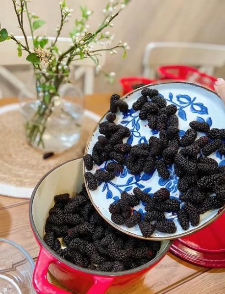 桑椹酱怎么做_桑椹酱的做法和步骤-第3张图片-山城妙识
