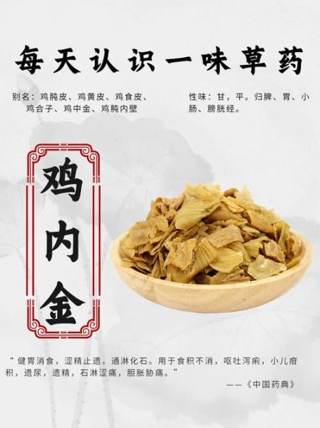 鸡内金的功效与作用_鸡内金能治哪些病-第2张图片-山城妙识 鸡内金的功效与作用_鸡内金能治哪些病-第2张图片-山城妙识