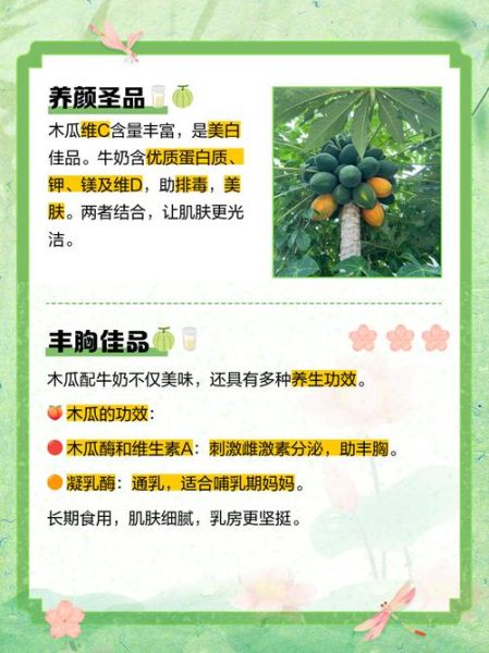 牛奶煮木瓜的功效与作用_适合什么人吃-第2张图片-山城妙识
