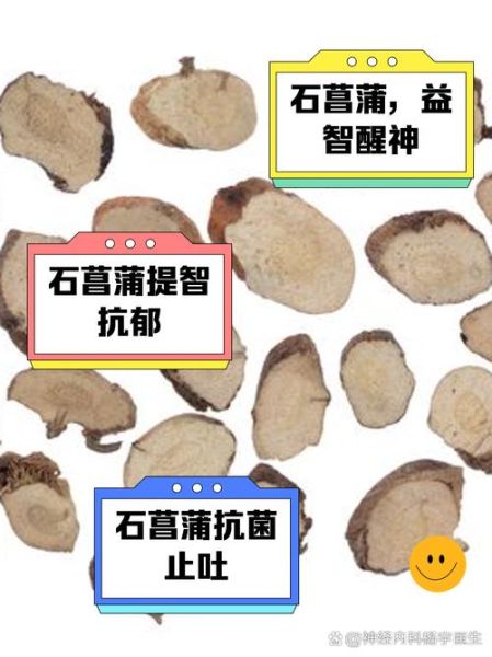 石菖蒲的功效与作用_石菖蒲主治什么病-第1张图片-山城妙识