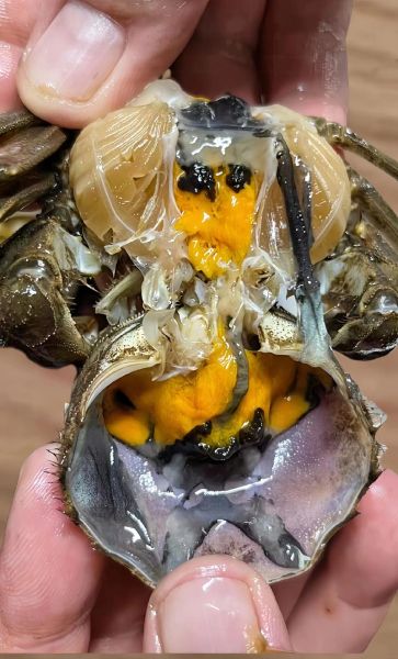 醉蟹怎么腌制_醉蟹腌制配方-第1张图片-山城妙识