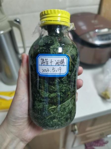 金银花露下厨房做法_金银花露功效与禁忌-第1张图片-山城妙识