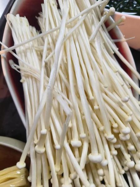 金针菇有毒吗_金针菇中毒症状-第1张图片-山城妙识