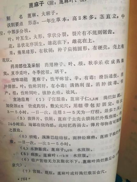 国家为什么禁止种麻子_麻子种植危害有哪些-第1张图片-山城妙识 国家为什么禁止种麻子_麻子种植危害有哪些-第1张图片-山城妙识
