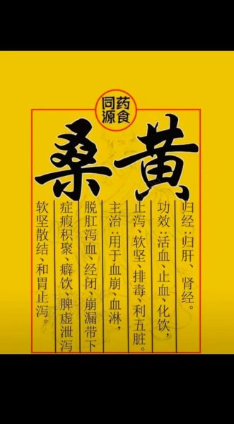 藏桑黄的功效与作用_藏桑黄怎么吃效果最好-第2张图片-山城妙识