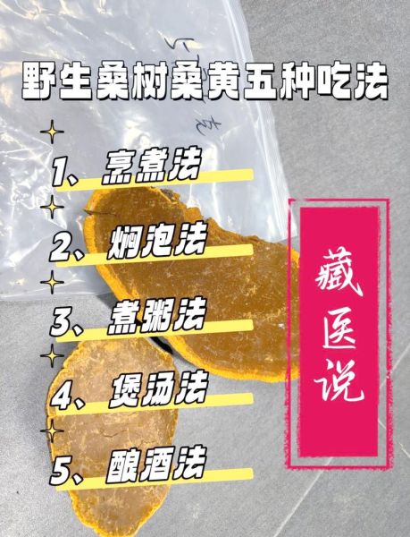 藏桑黄的功效与作用_藏桑黄怎么吃效果最好-第3张图片-山城妙识