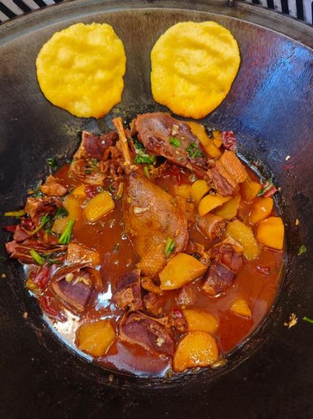 炖大鹅怎么做好吃_家常炖大鹅做法-第3张图片-山城妙识