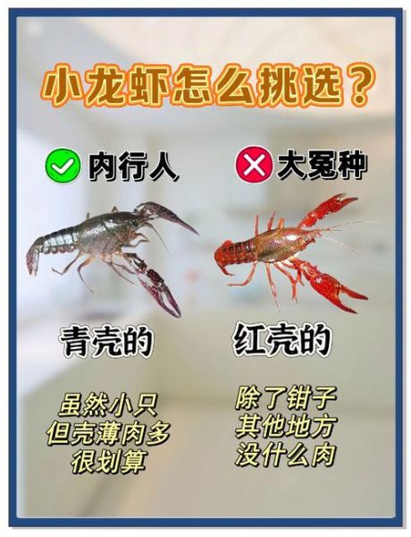 口味虾和小龙虾的区别_哪个更好吃-第2张图片-山城妙识