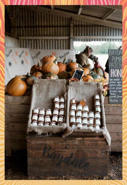 南瓜园2008是什么_南瓜园2008还能用吗-第2张图片-山城妙识 南瓜园2008是什么_南瓜园2008还能用吗-第2张图片-山城妙识