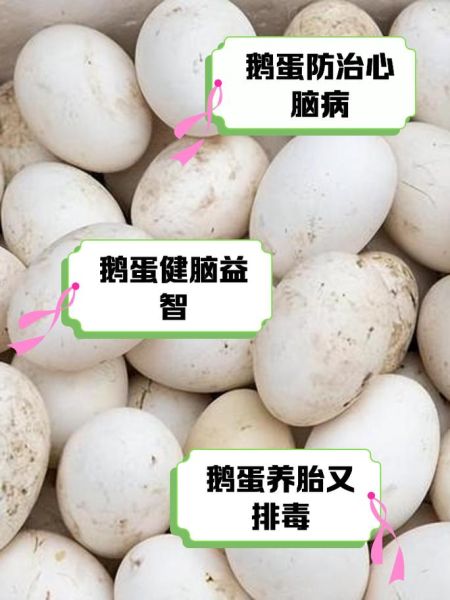 鹅蛋治失眠偏方_鹅蛋怎么吃治失眠-第1张图片-山城妙识
