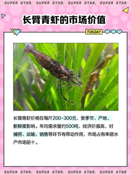 长臂虾怎么养_长臂虾吃什么-第3张图片-山城妙识