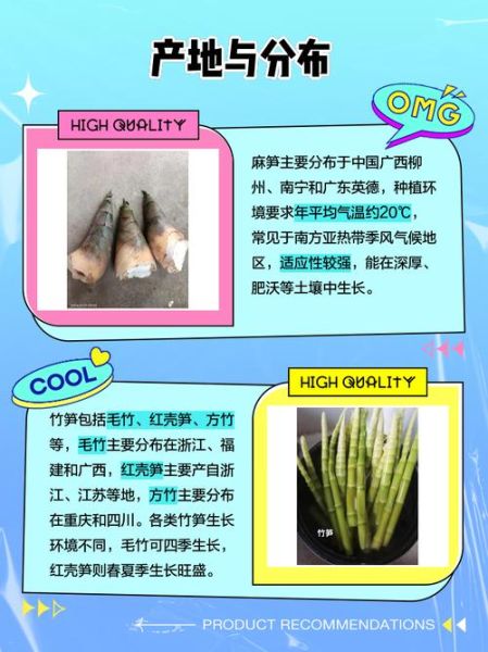 麻竹笋和毛竹笋哪个好_口感营养价格全面对比-第1张图片-山城妙识