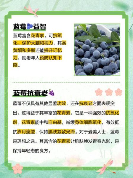 蓝莓的功效与作用及副作用_蓝莓一天吃多少粒最好-第2张图片-山城妙识