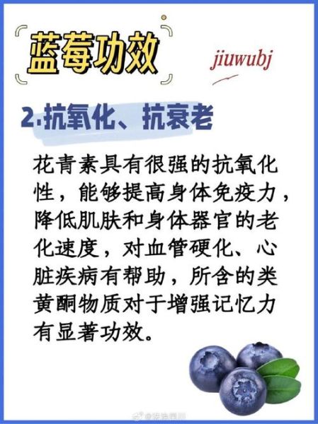 蓝莓的功效与作用及副作用_蓝莓一天吃多少粒最好-第1张图片-山城妙识